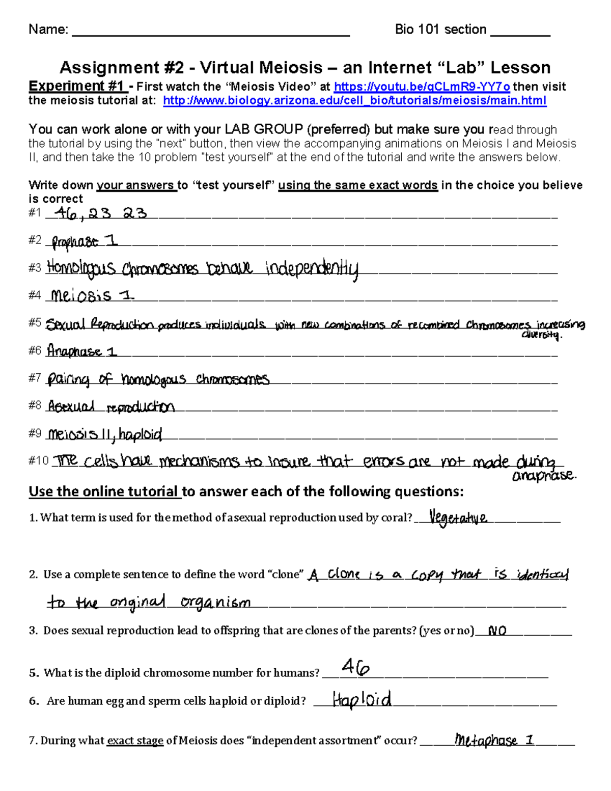 BIO 101 Assignment #2 on Meiosis - Name ...