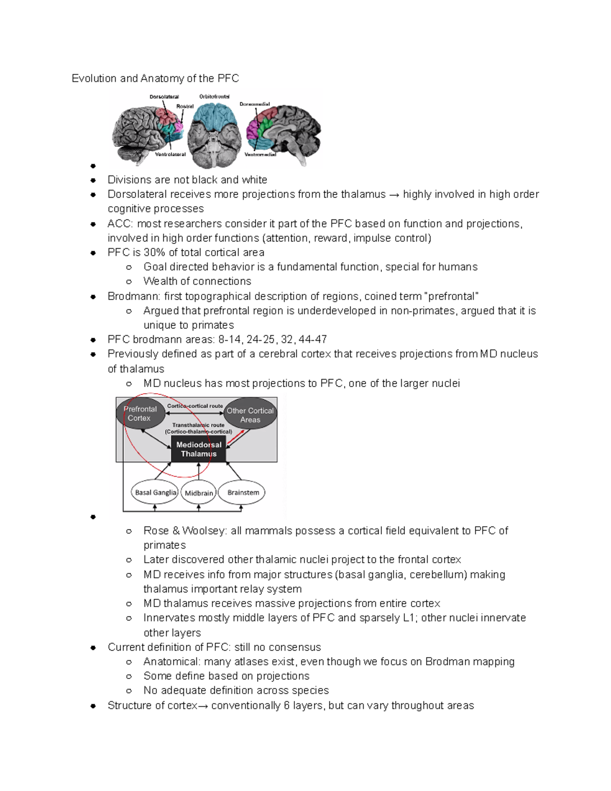Frontal Cortex and Cognitive Control - Evolution and Anatomy of the PFC ...