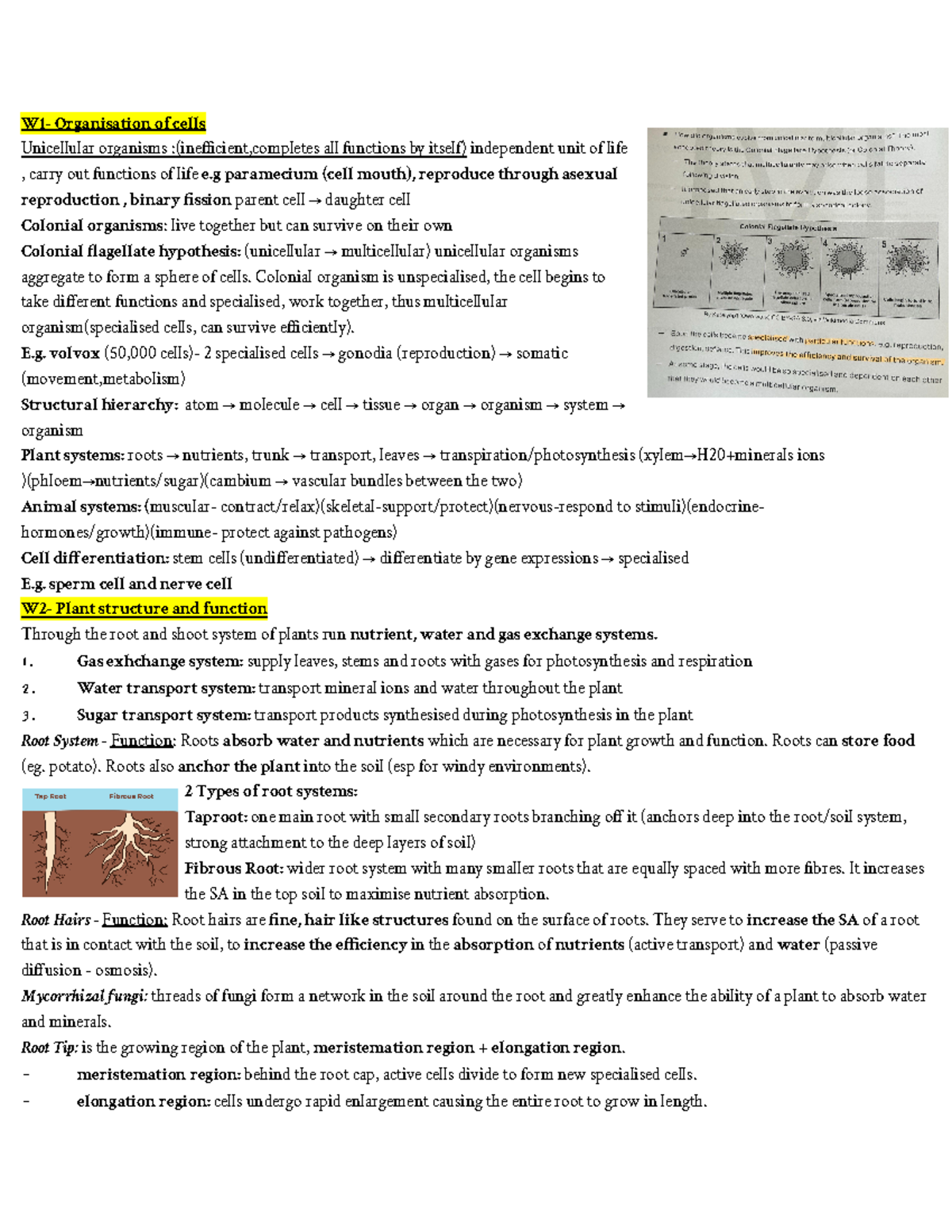 Biology mod 2 notes - W1- Organisation of cells Unicellular organisms ...