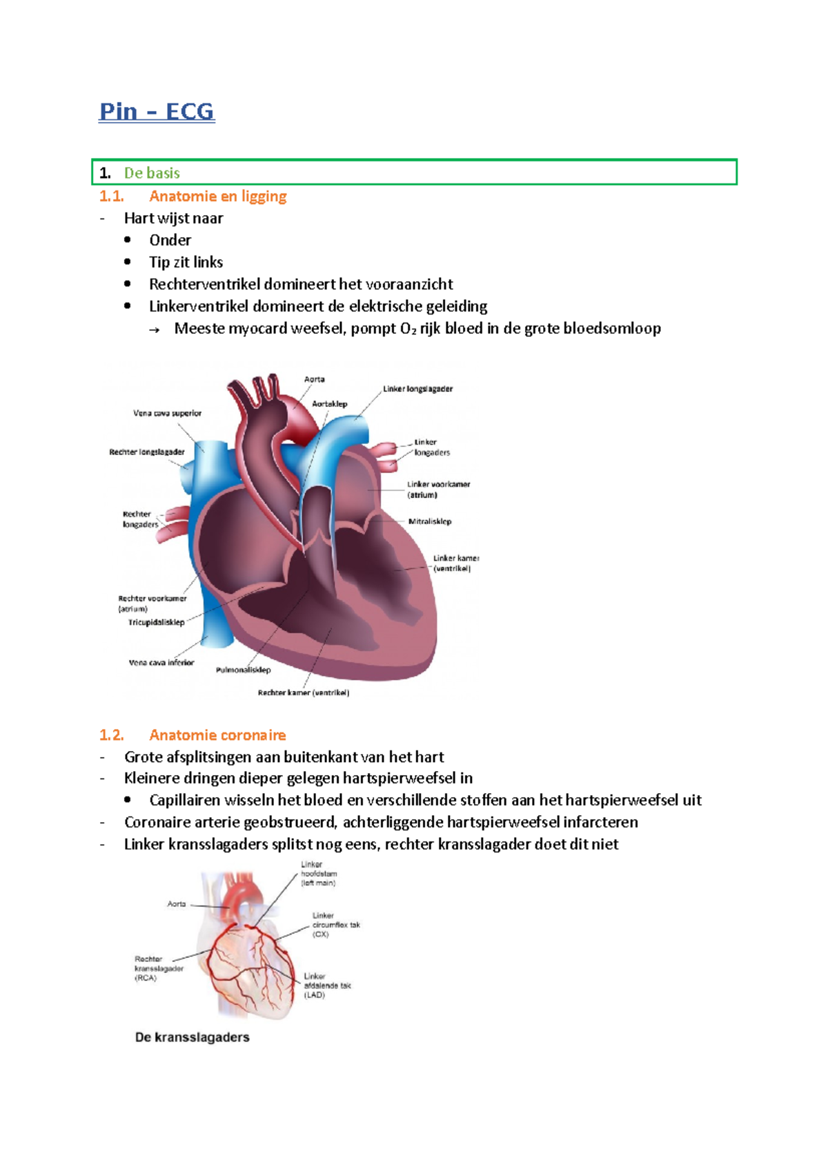 Pin - ECG - Samenvatting PIN - ECG - Pin – ECG De basis Anatomie en ...