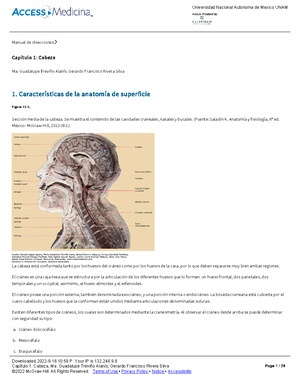 Región Maseterina - REGIÓN MASETERINA FORMA Ubicada en la parte lateral ...