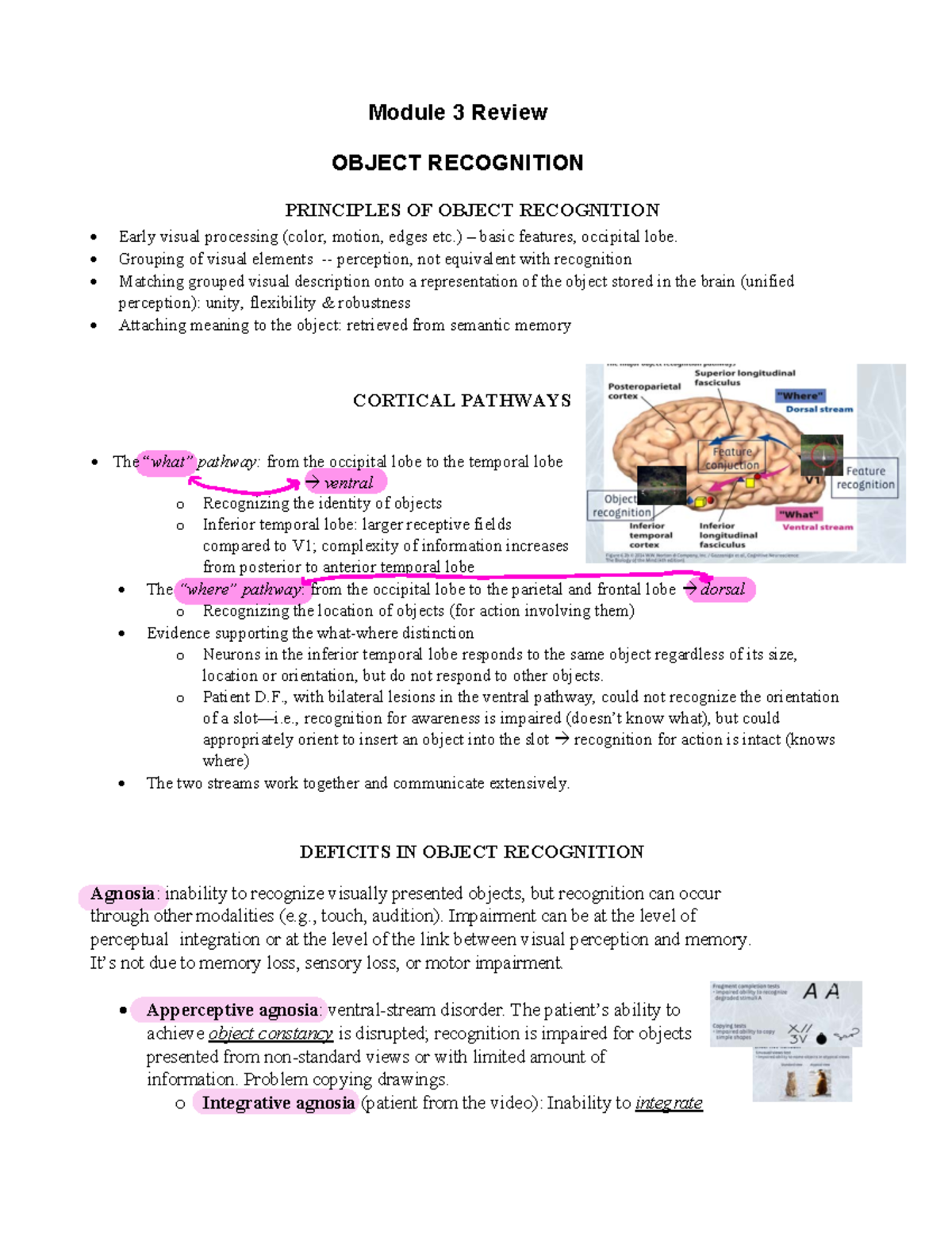 Module 3 Review - Module 3 Review OBJECT RECOGNITION PRINCIPLES OF ...