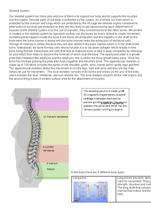 Respiratory System - Warning: Error during font loading: XMLHttpRequest is not defined ...
