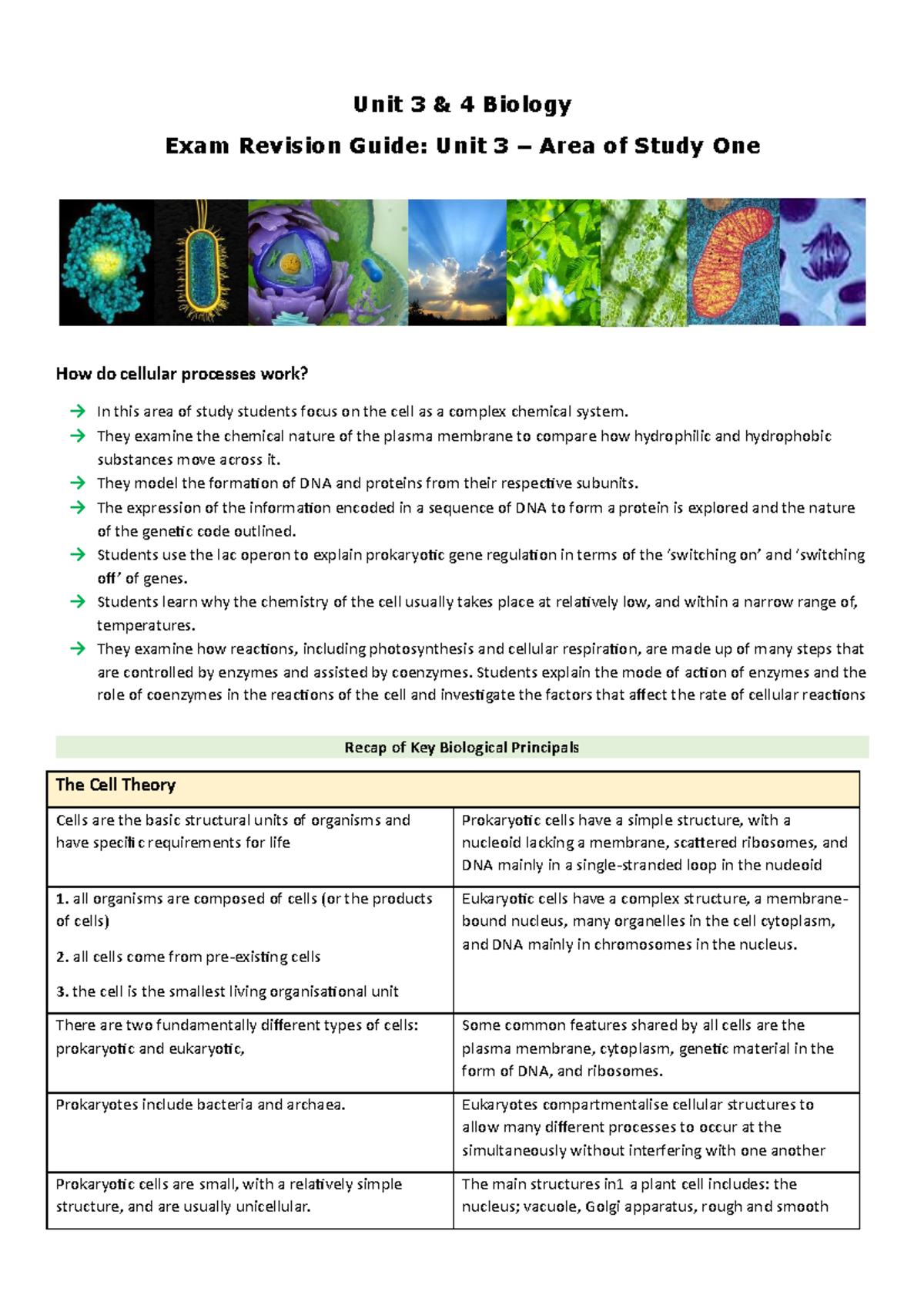 Unit 3 Area of Study One - How do cell processes work - Unit 3 & 4 ...