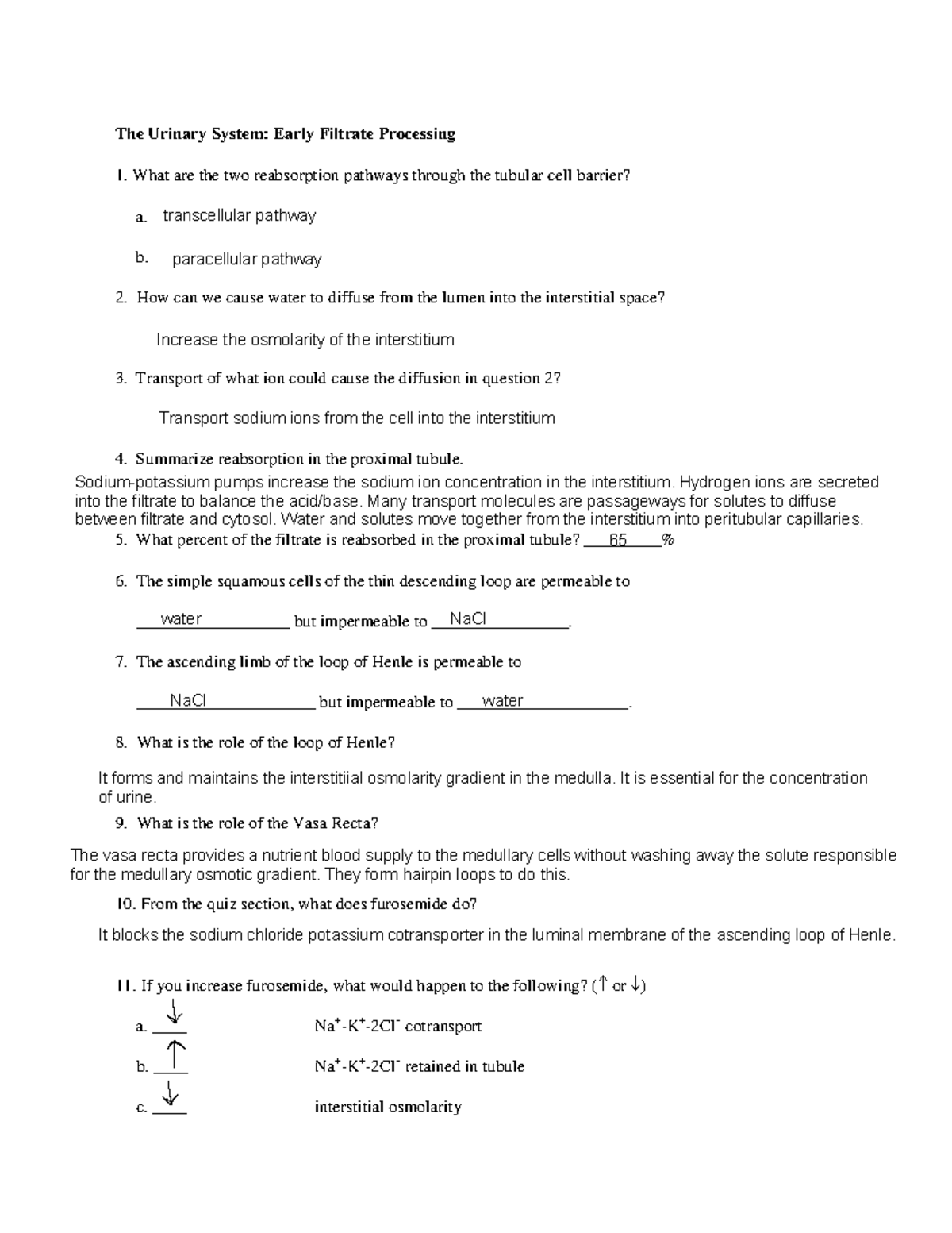 BIO 232 Urinary System Early Filteration Worksheet - The Urinary System ...