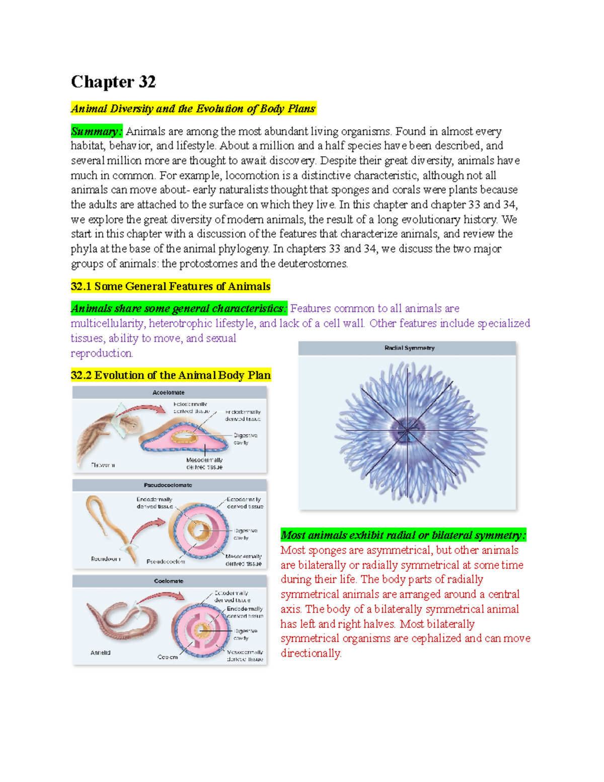 Chapter 32 Bio Notes - Chapter 32 Animal Diversity and the Evolution of ...