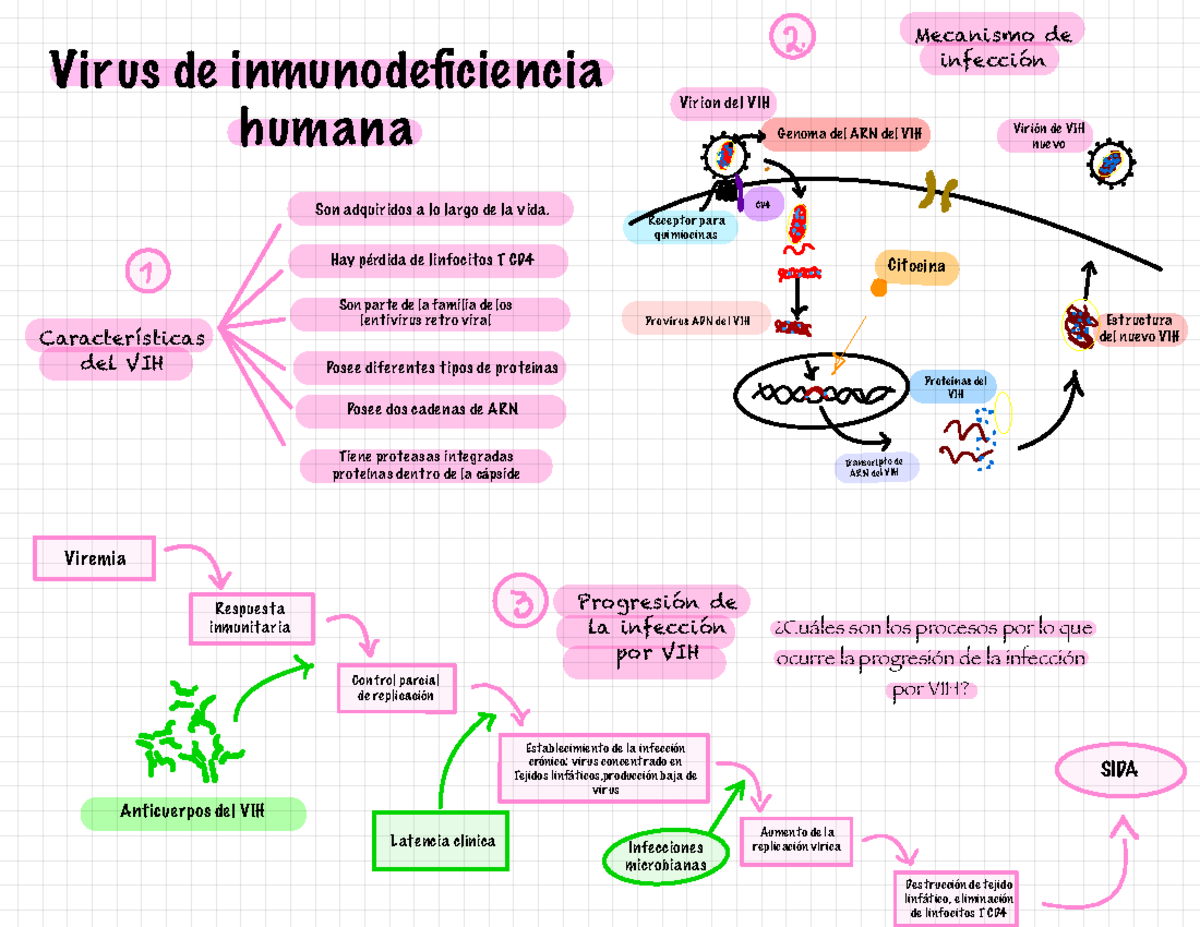 VIH - Virus de la inmunodeficiencia humana - ####### ¿Cuáles son los ...
