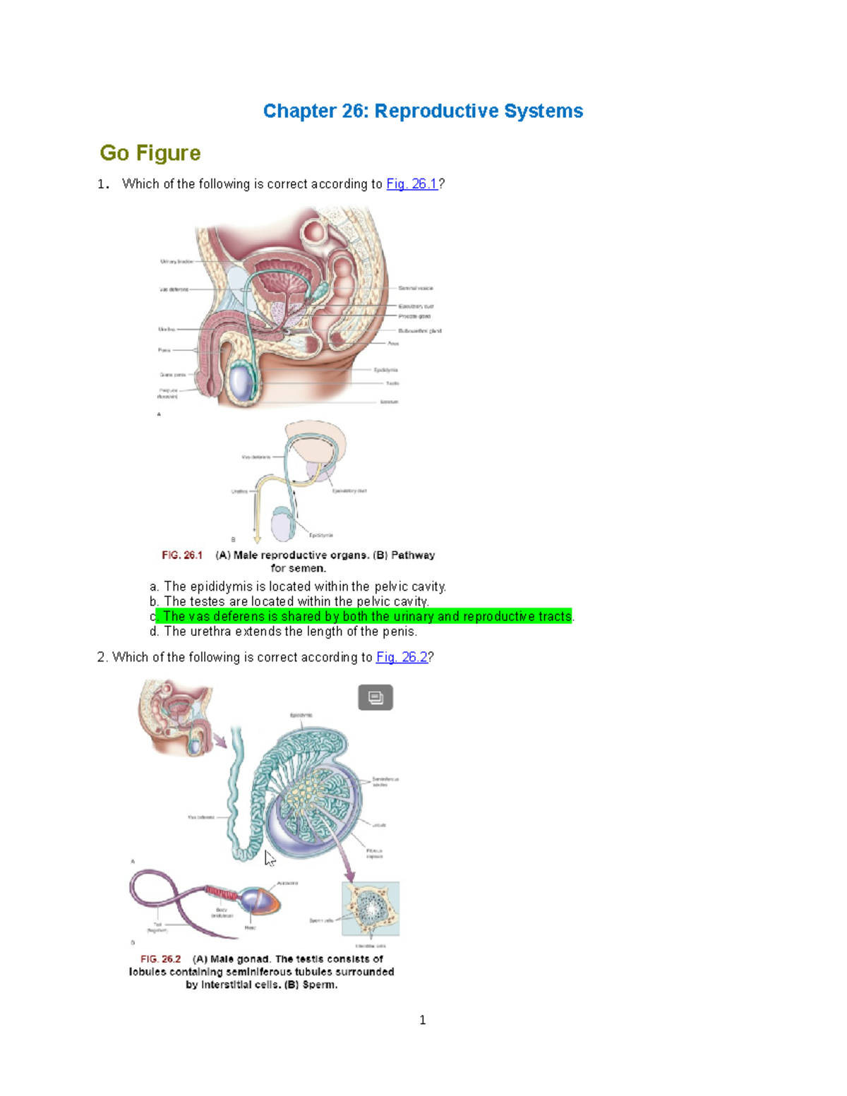 AHP106 Wk6 Assignment - nlugtifgtu - Chapter 26: Reproductive Systems ...
