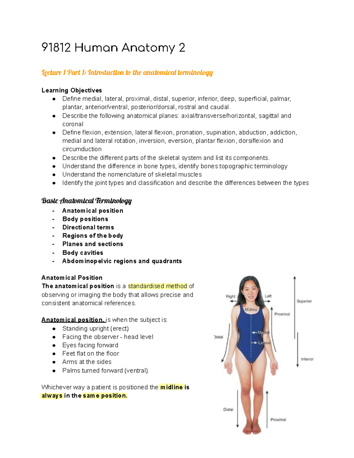 Human Anatomy 2 lecture material - 91812 Human Anatomy 2 Lectur 1 Par 1 ...