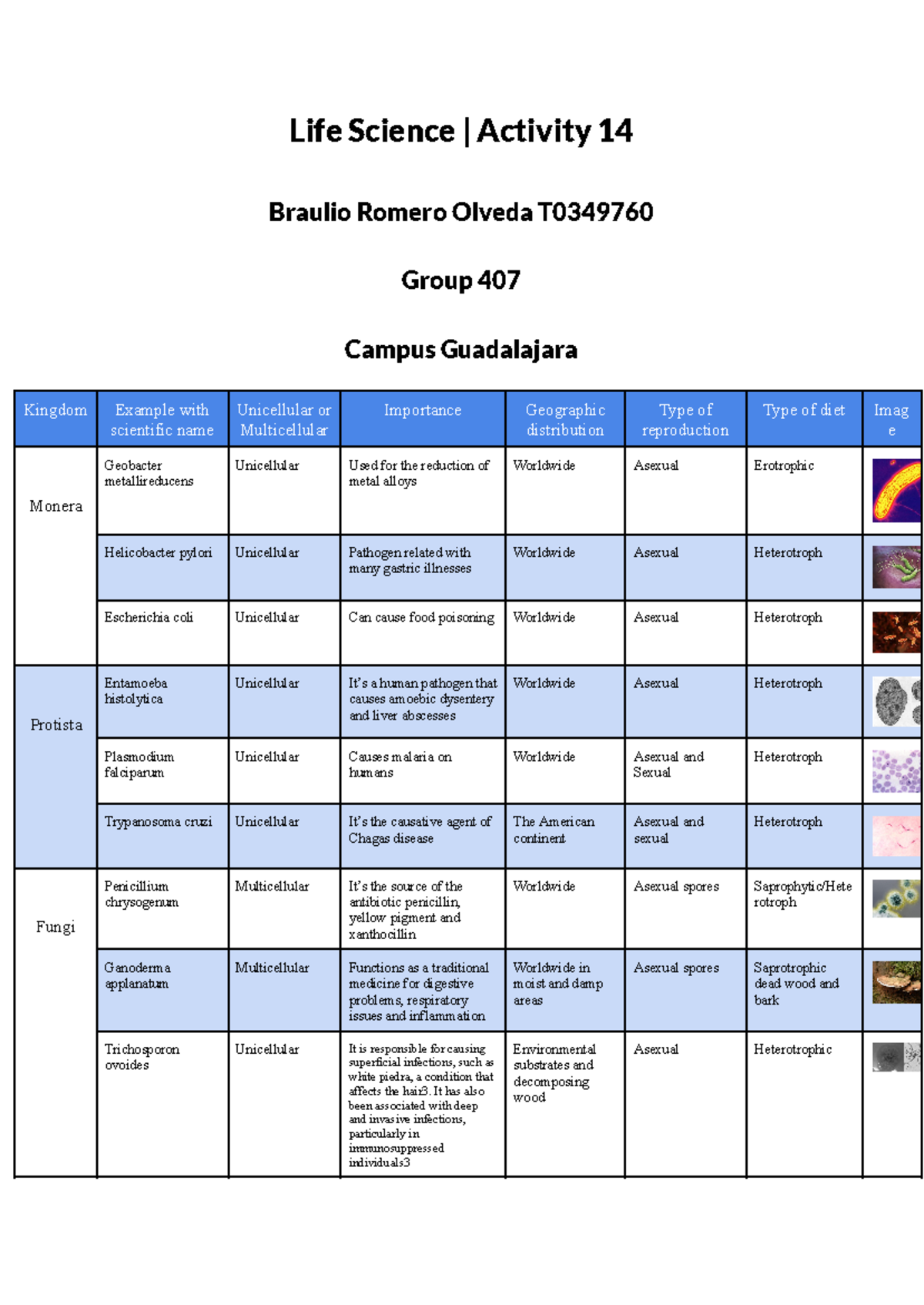 Life Science Act 14 - Life Science | Activity 14 Braulio Romero Olveda ...