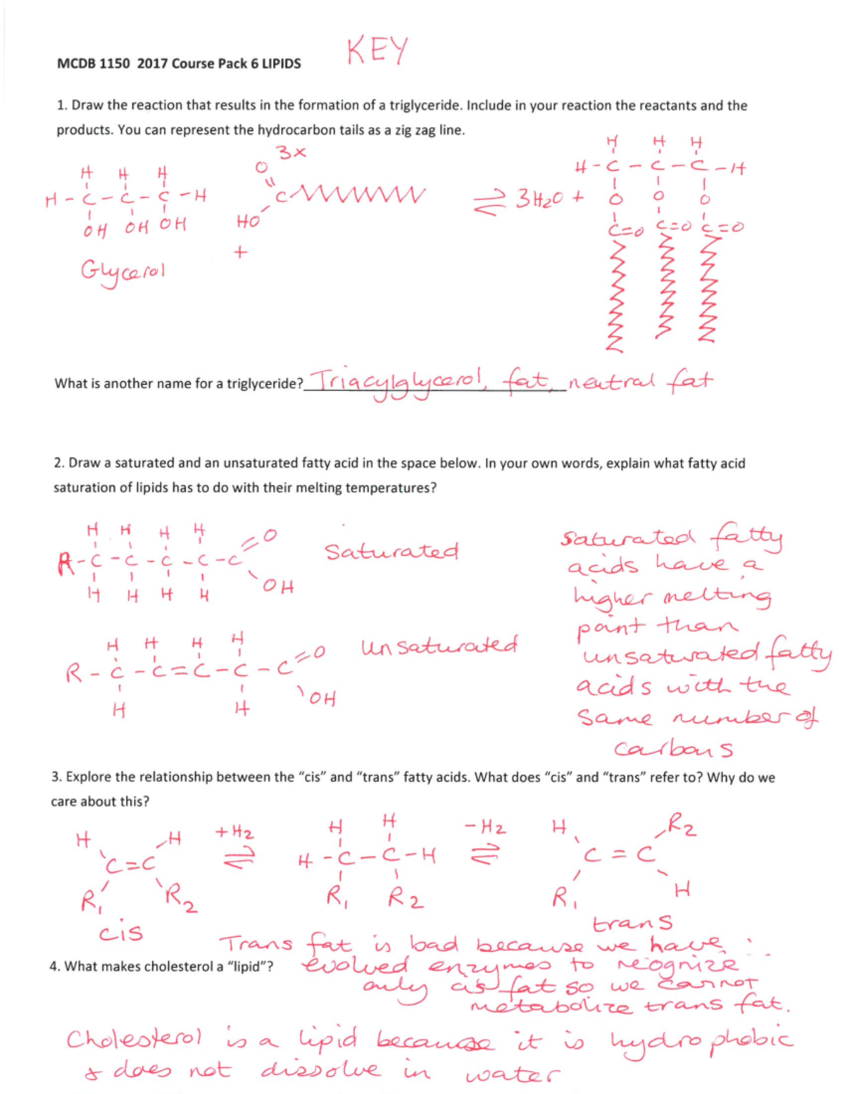 Wk 6 lipids KEY - Course packet 6 answers - Dr Gorksi - \/ MCDB 1150 ...