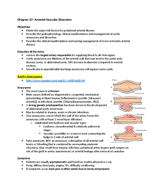 Newborn Assessment Data collection sheet - Newborn Data Collection ...