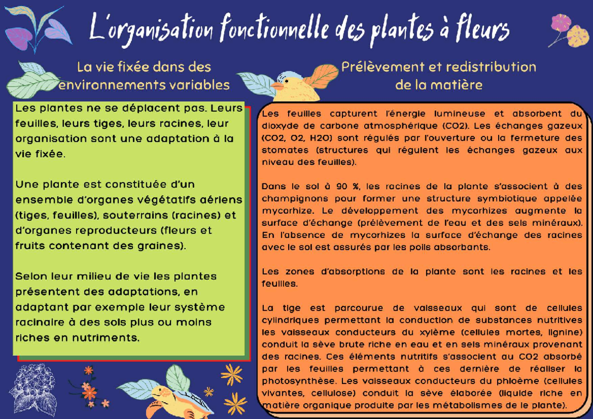 Svt plante - Sciences de la vie et de la Terre - Studocu