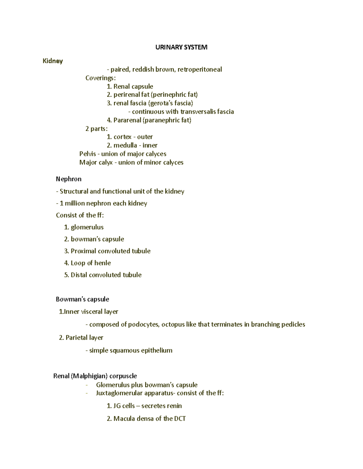 Urinary System Assignment - URINARY SYSTEM Kidney - paired, reddish ...