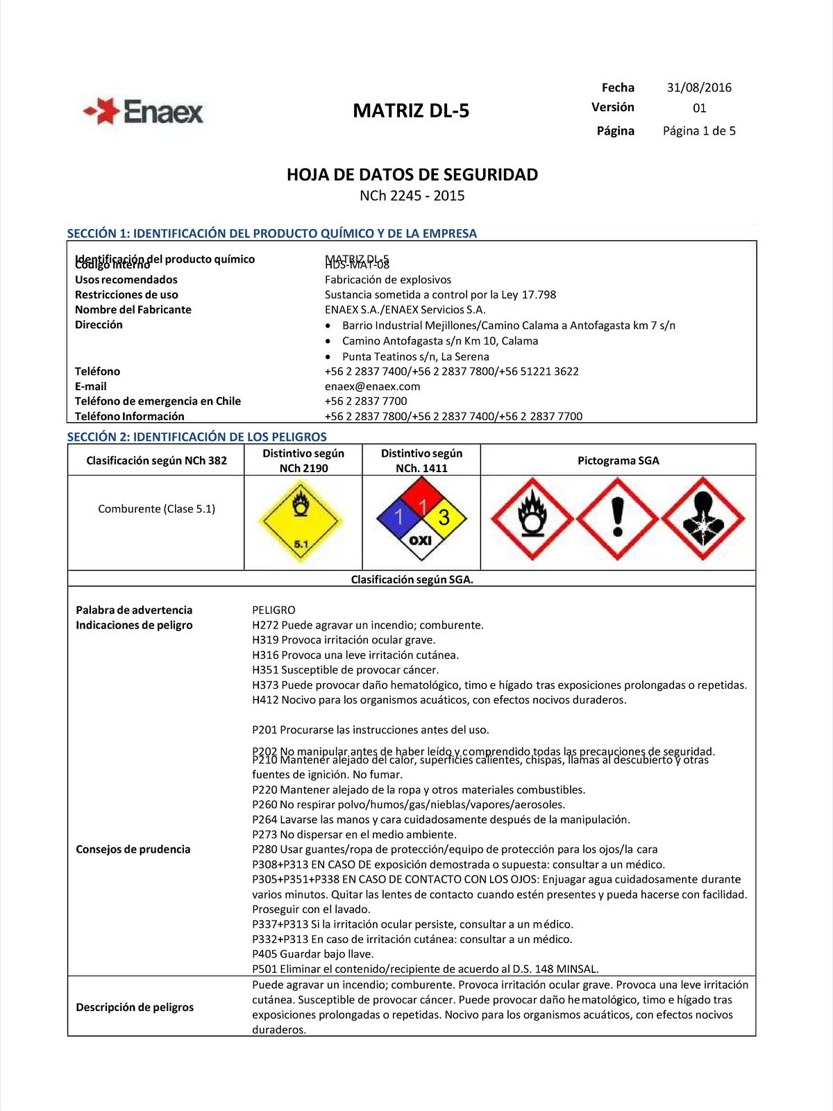 Ejemplo HDS - MATRIZ DL-5MATRIZ DL- VersiónVersión 0101 PáginaPágina Página 1 de 5Página 1 de 5 ...