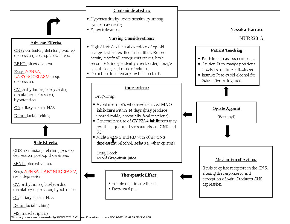 Concept MAP FOR FUNDAMENTALS OF NURSING - Yessika Barroso NUR320-A ...