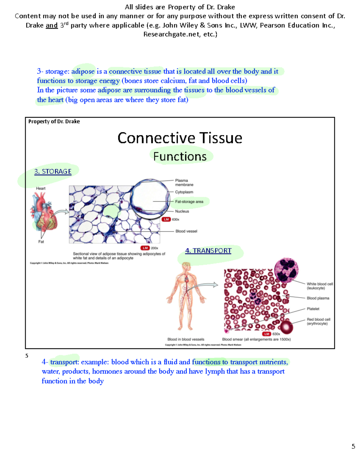 Drake Module 2 Tissues Part B 2 - All slides are Property of Dr. Drake ... Drake Module 2 Tissues Part B 2 - All slides are Property of Dr. Drake ...