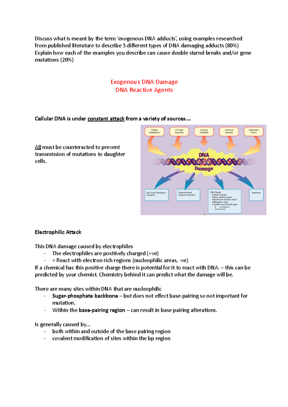 exam preparation - Discuss what is meant by the term ‘exogenous DNA ...