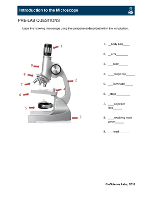 Diffusion and Osmosis Virtual Lab Worksheet rev26Feb2021 - Virtual Lab ...