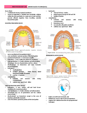 Oral Ana - Canine - The Permanent Canines: Maxillary and Mandibular ...
