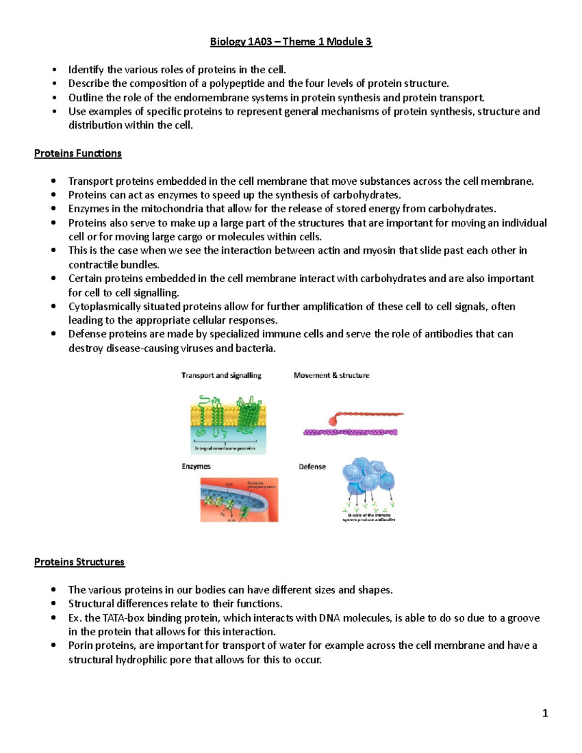 Biology 1A03 – Theme 1 Module 3 - Biology 1A03 – Theme 1 Module 3 ...