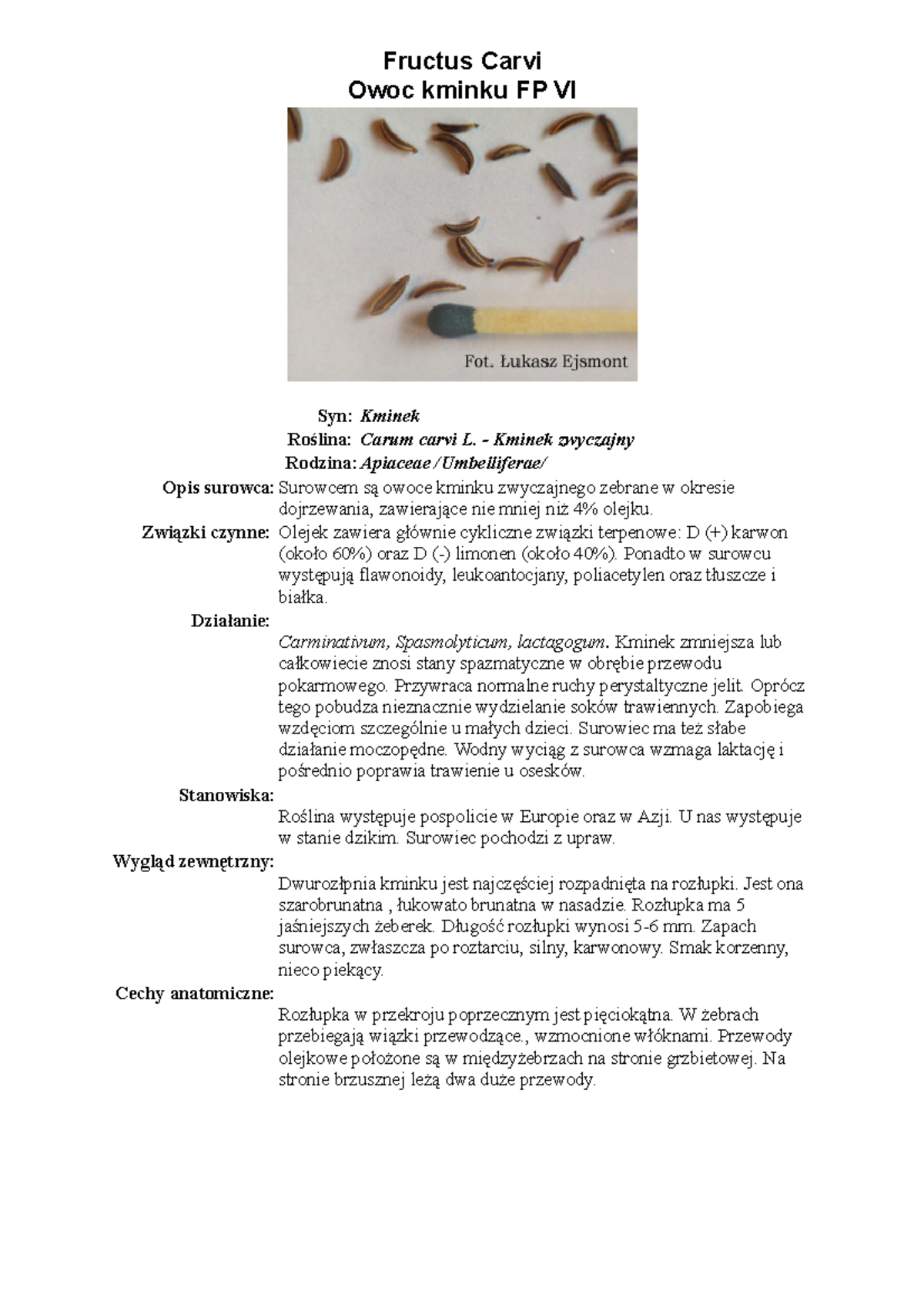 Fructus Carvi - Fructus Carvi Owoc kminku FP VI Syn: Kminek Roślina ...