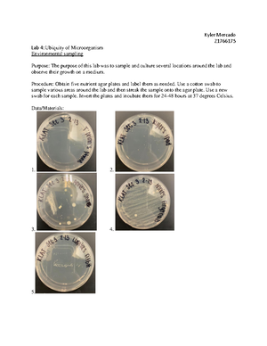 Lab 6 - BIOS 313 lab - Kyler Mercado Z1766175 Section 3 Lab Report 6 ...