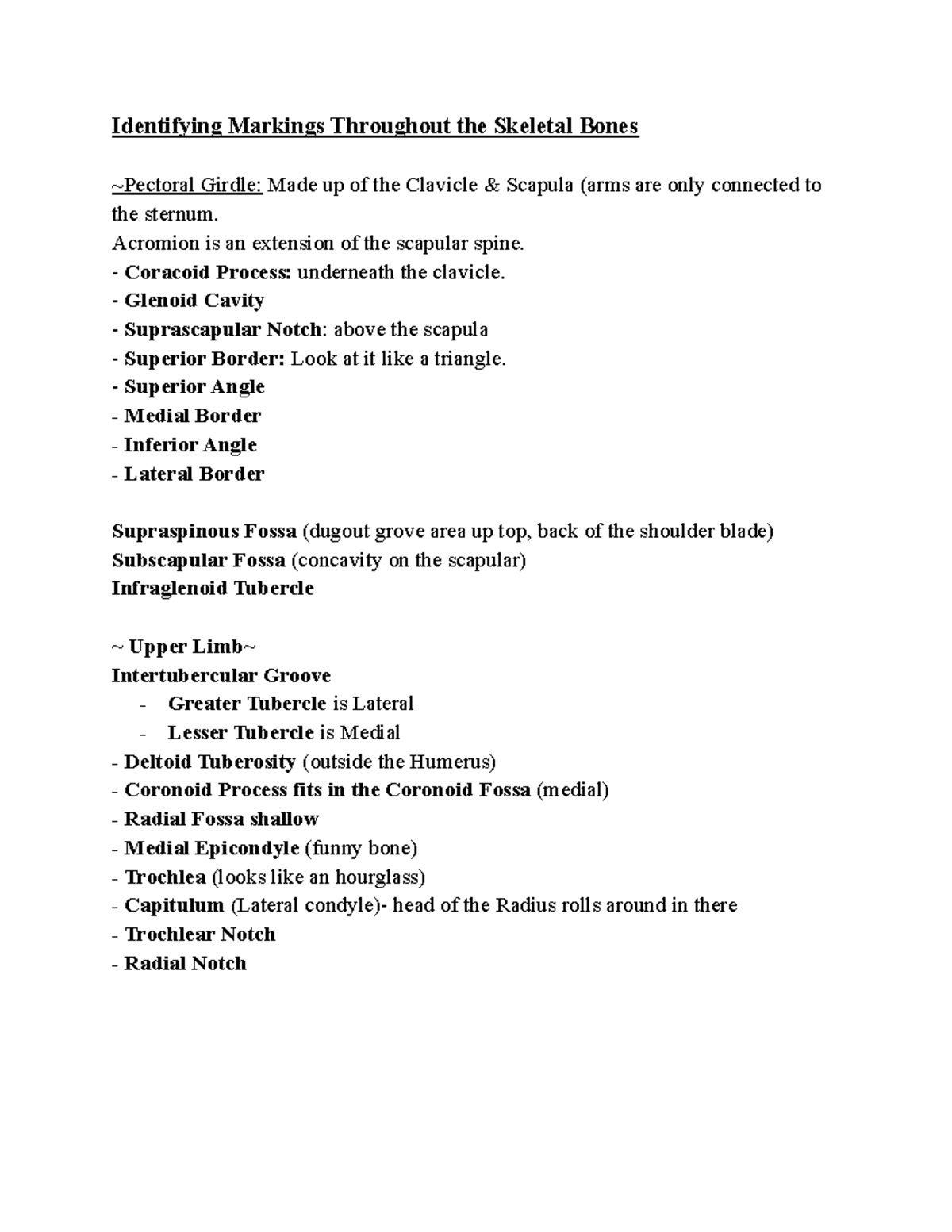 Identifying Markings Throughout the Skeletal Bones - Acromion is an ...