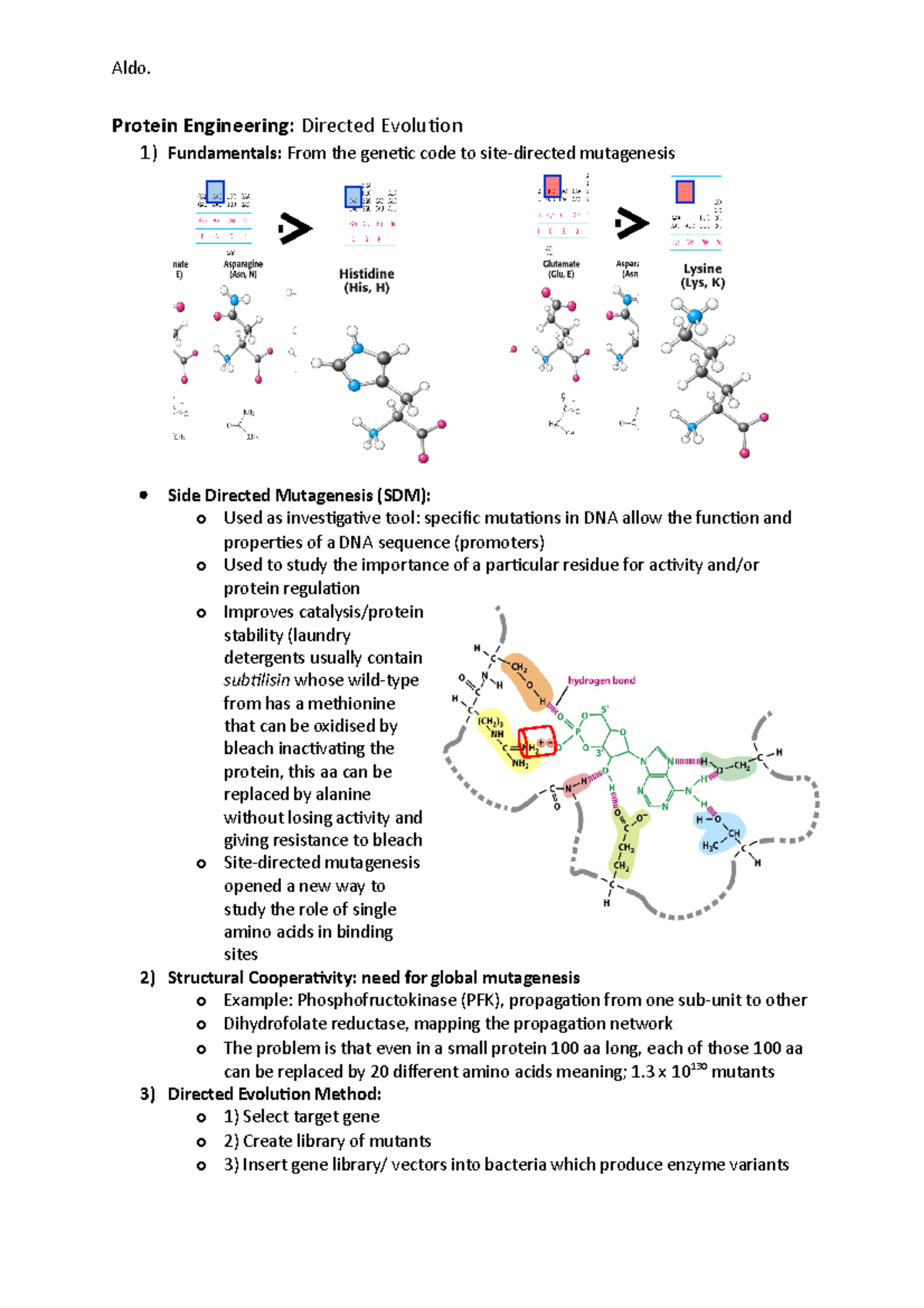 Protein Engineering- Directed Evolution - Aldo - Aldo. Protein ...