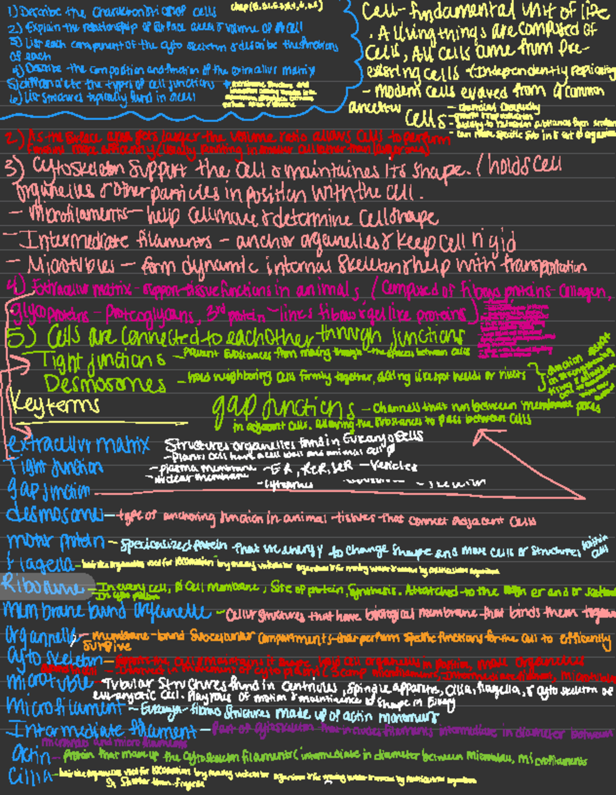 B2 - Good luck - Describe the Characteristics op cells Chap (5 , 5. 1 , 5. 3 , 5. 1 , b , b. 2 ...