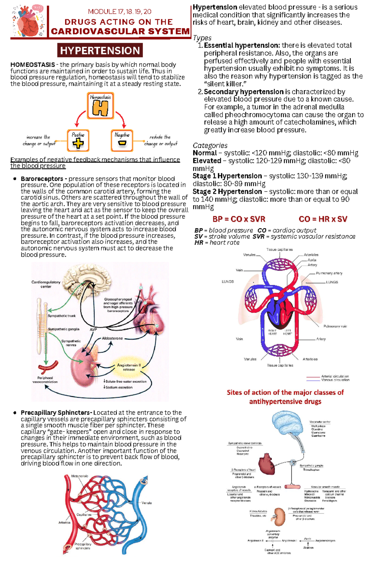 CVS Drugs - lecture notes - HOMEOSTASIS - the primary basis by which ...