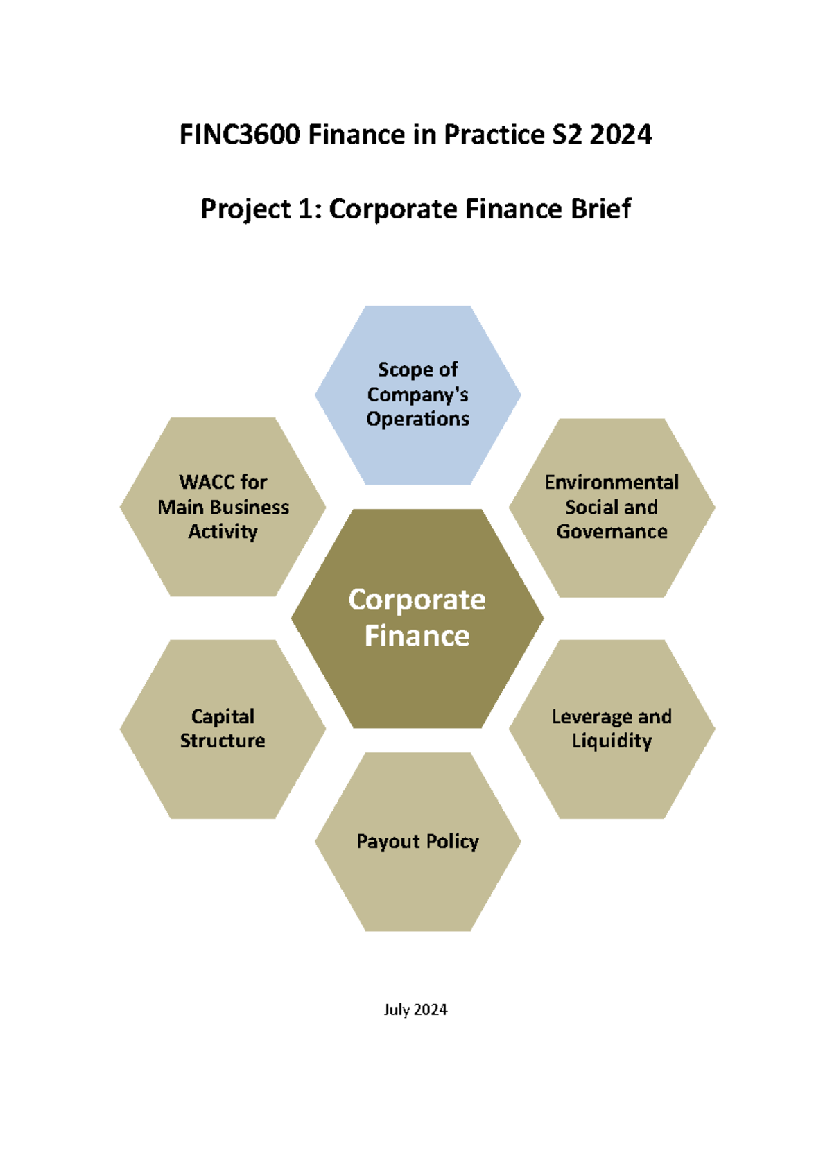 FINC3600 Project 1 - Corporate Finance Brief S2 2024 - FINC3600 Finance ...