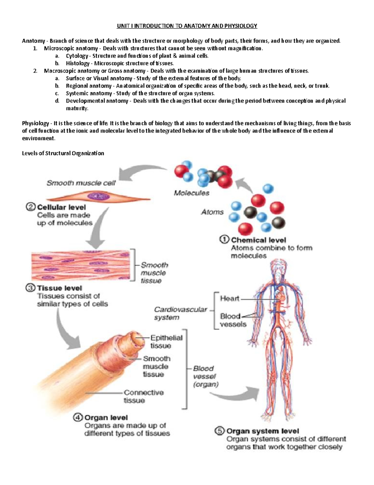 Unit I Introduction to Anatomy and Physiology - UNIT I INTRODUCTION TO ...