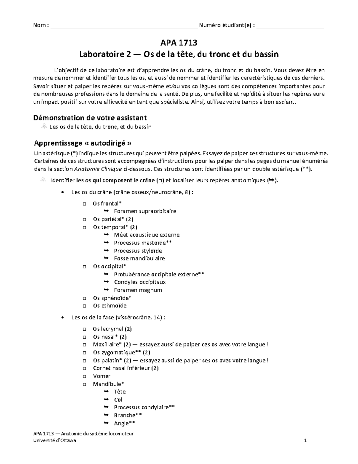Labo 2 - Os de la tête, du tronc et du bassin - APA 1713 — Anatomie du ...