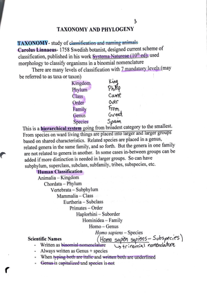 Zoology BIOL-1413 Phylum Chordata - PHYLUM CHORDATA Five Main Chordate ...