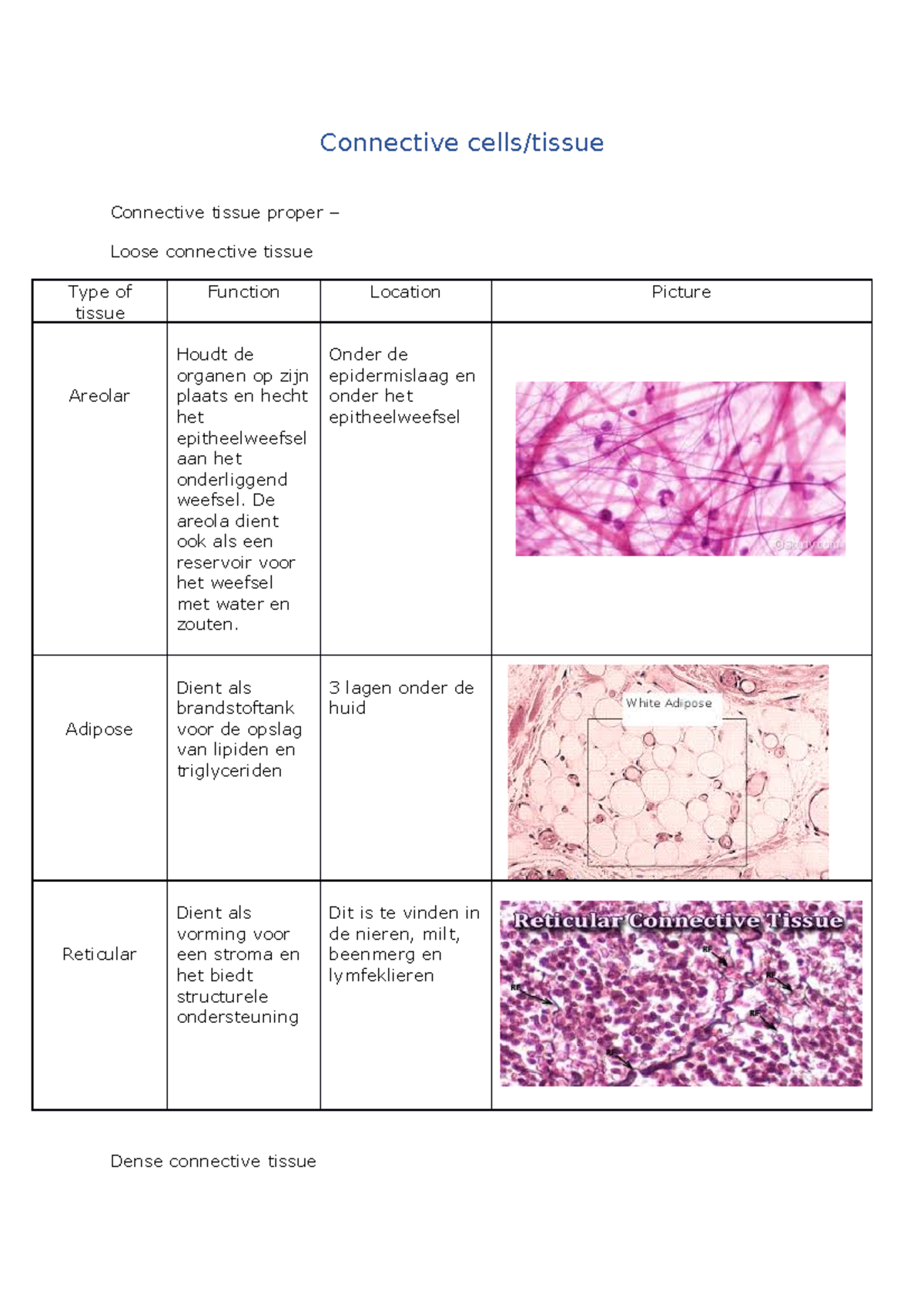 Connective tissue - korte toelichting per weefsel, de ligging en een ...