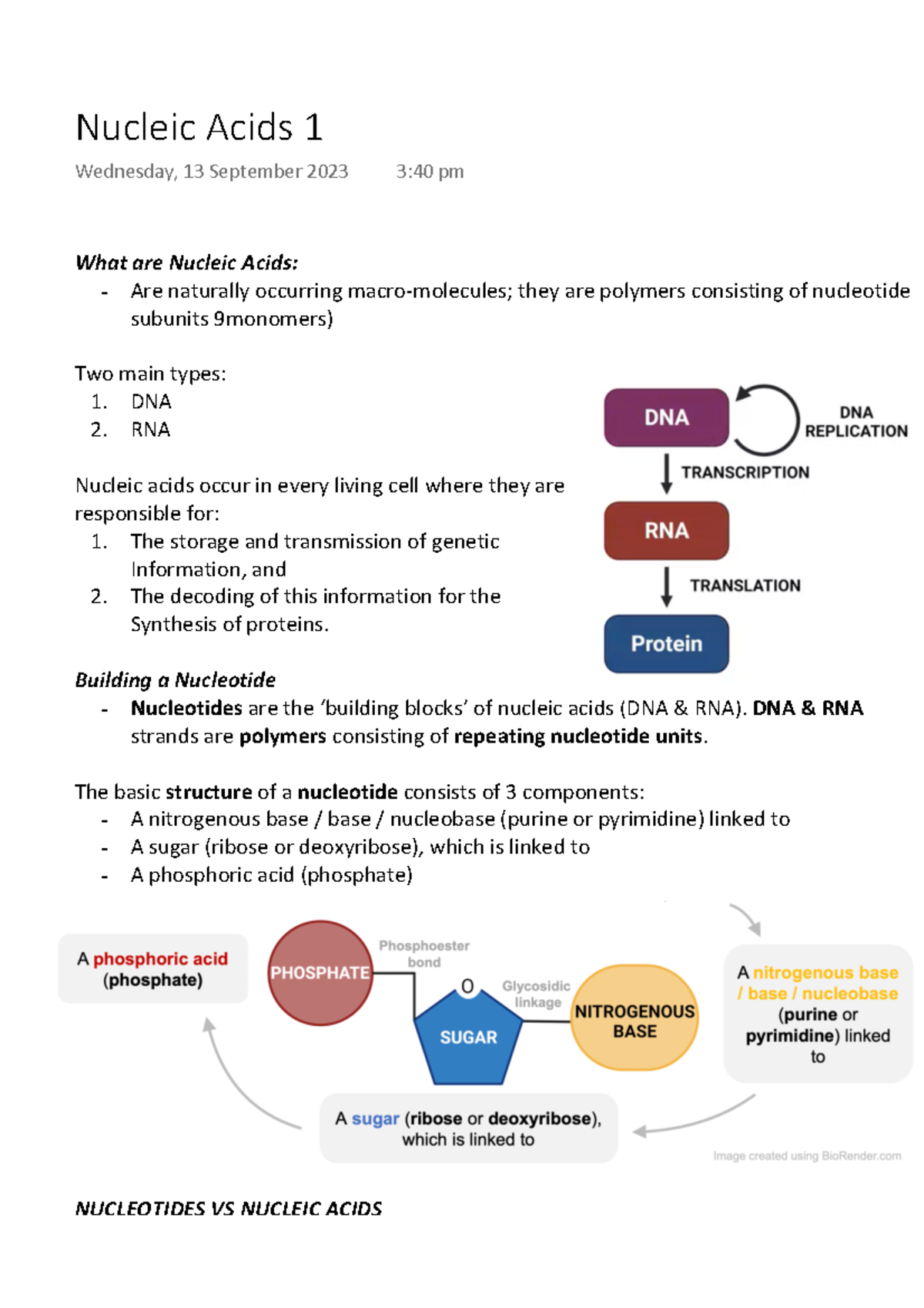 Nucleic Acids 1 Lecture Notes - What are Nucleic Acids: Are naturally ...