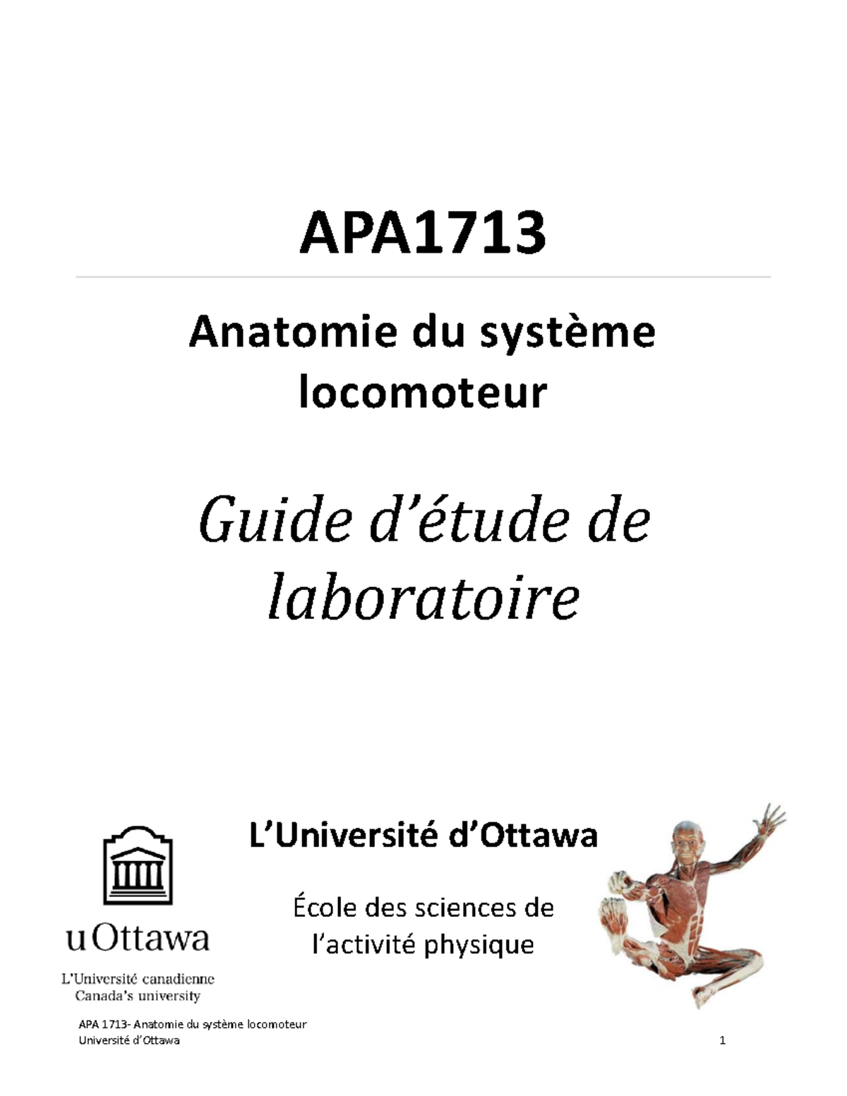APA1713 Guide d'étude - APA 1713- Anatomie du système locomoteur APA ...