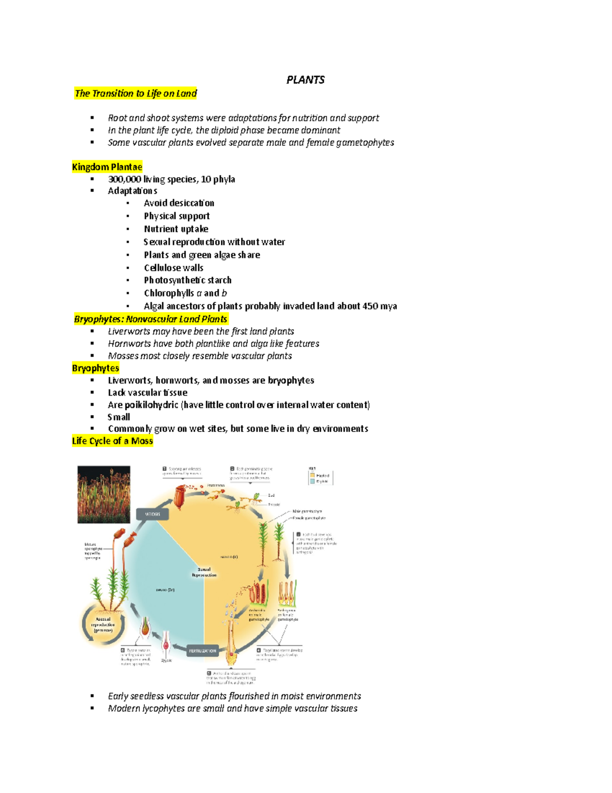 Plants - Lecture notes 1 - PLANTS The Transiion to Life on Land § Root ...