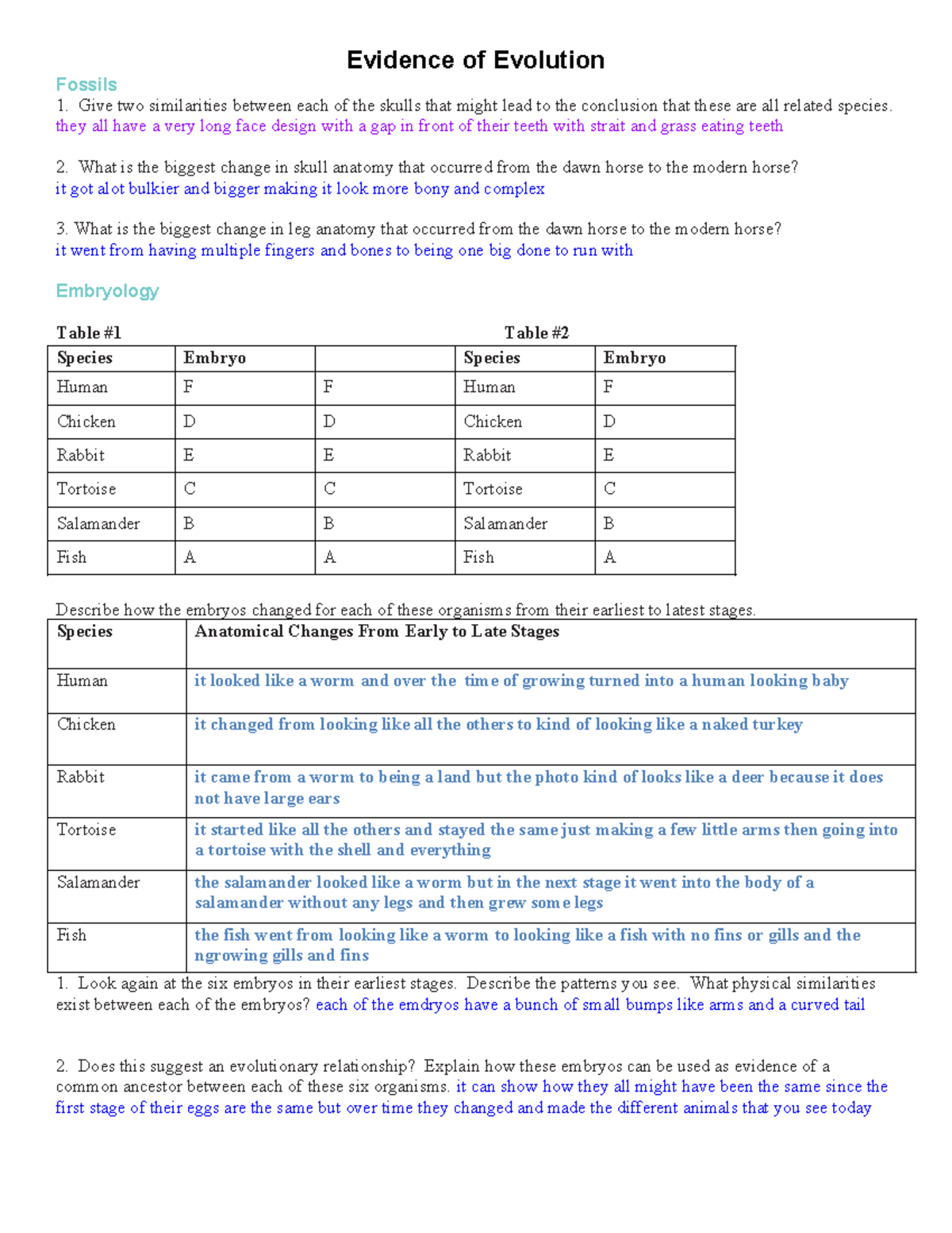 Copy of Evidence-of-Evolution-student Worksheet - Fossils 1. Give two ...
