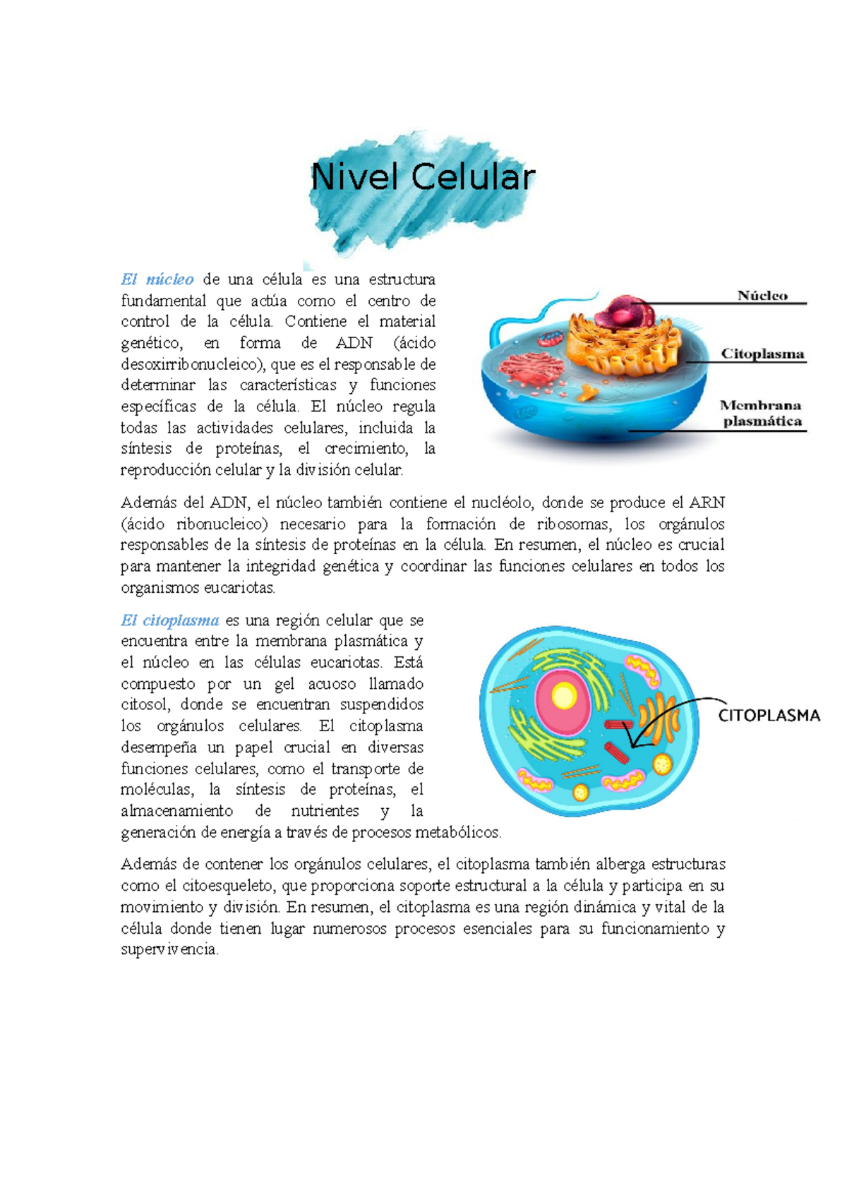 Nivel Celular - Partes y funcionamientos importantes de la Célula ...