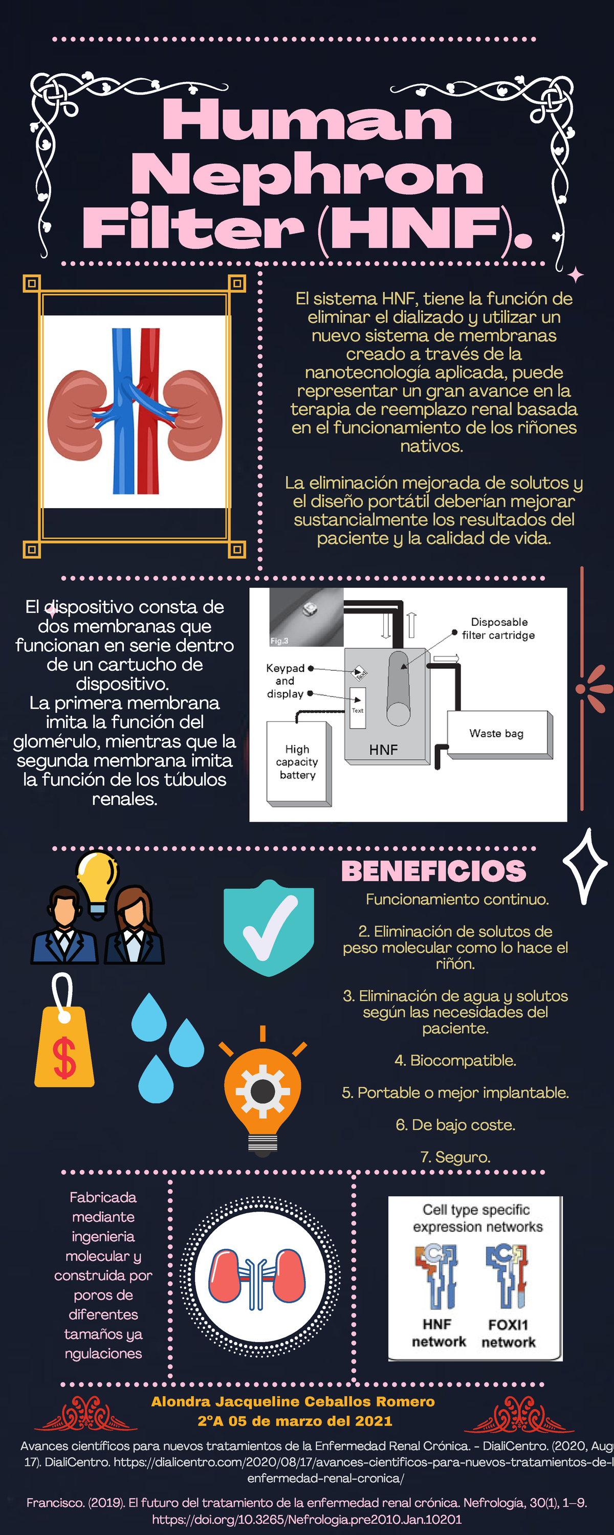 Avances médicos S. urinario - Human Nephron Filter (HNF). El sistema ...