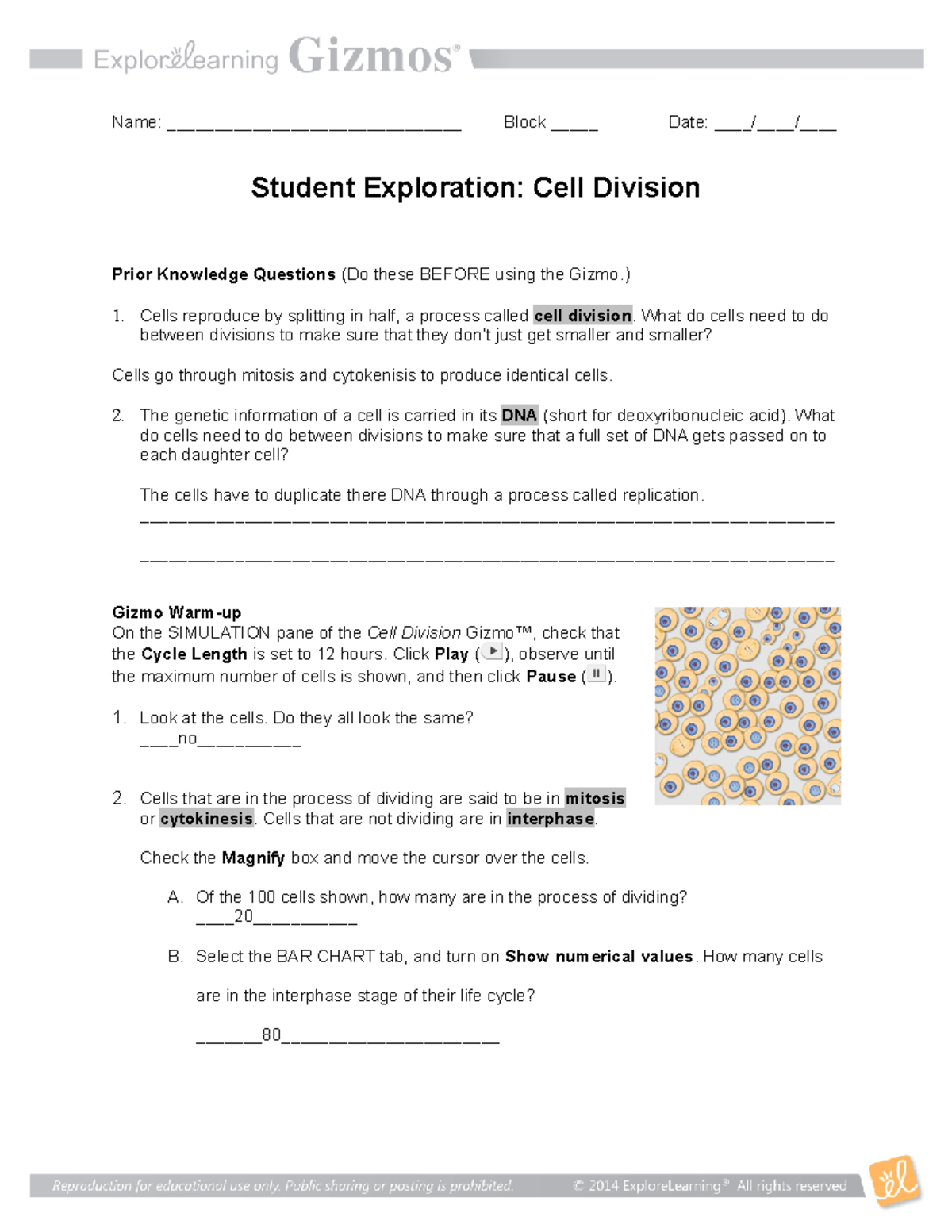 Cell Division Gizmo-1 - 43r34r - Name ...