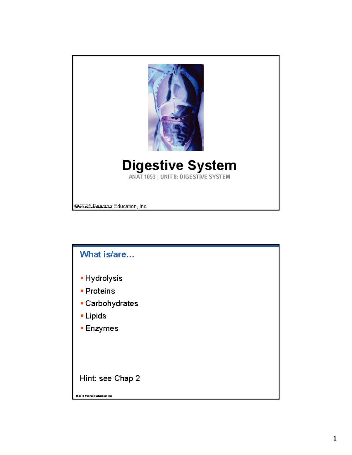 ANAT 1053 Unit 8 Digestive System Student Slides September 2018 ...