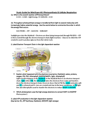 General Biology Chapter 3 - Cells - BIOL& 160 CHAPTER 3 CELLS Cell ...