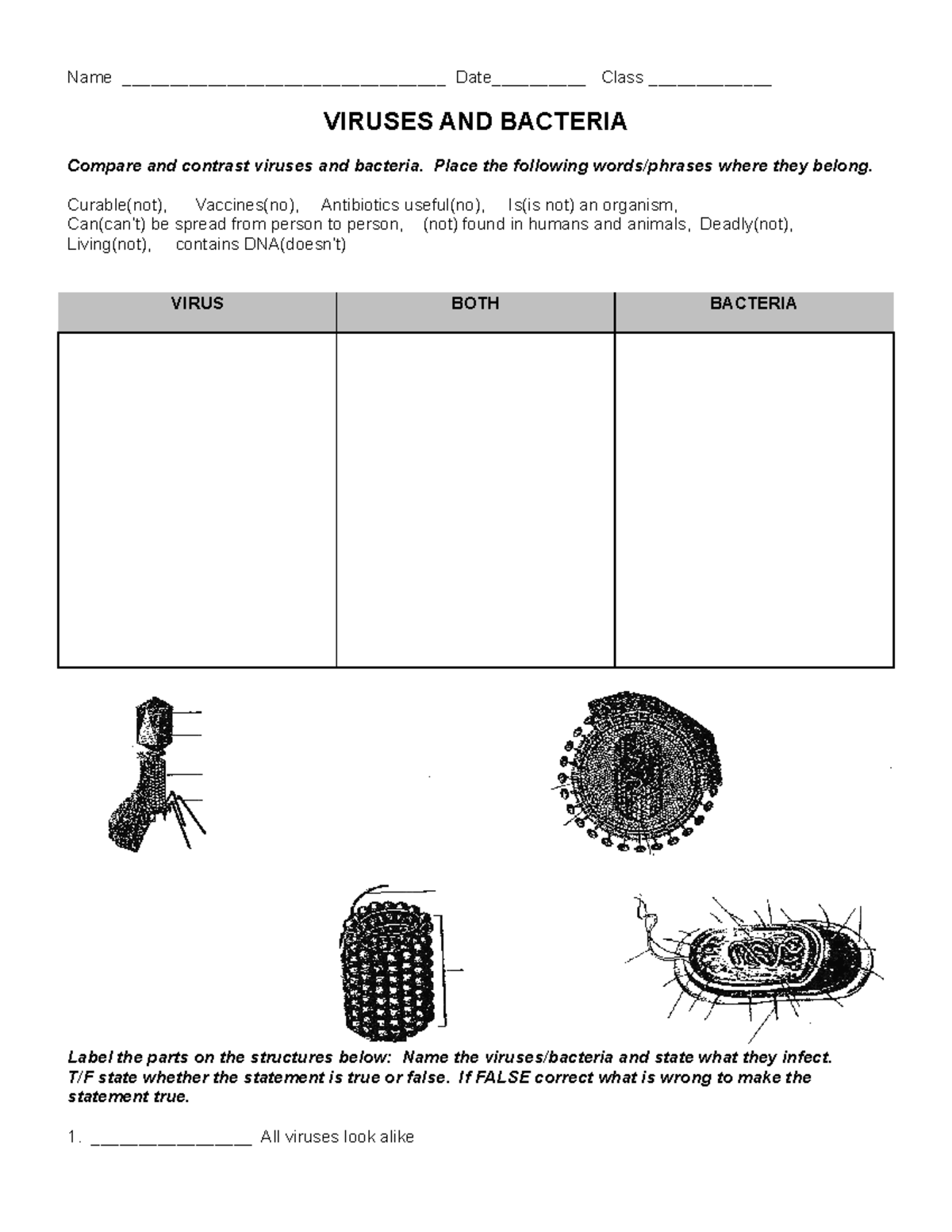 Viruses AND Bacteria Worksheet - Name ...
