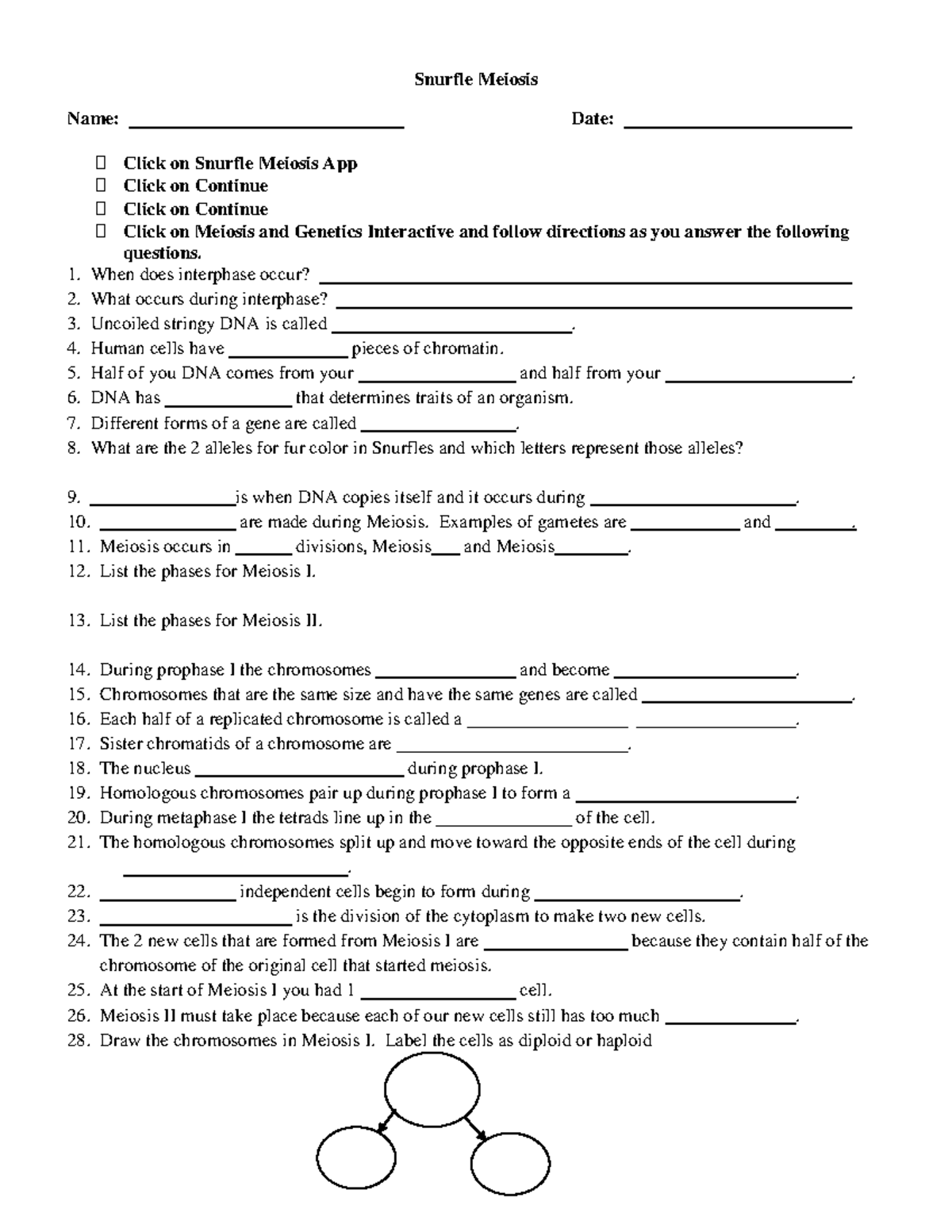 Snurfle meiosis worksheet - Snurfle Meiosis Name: Date: Click on ...