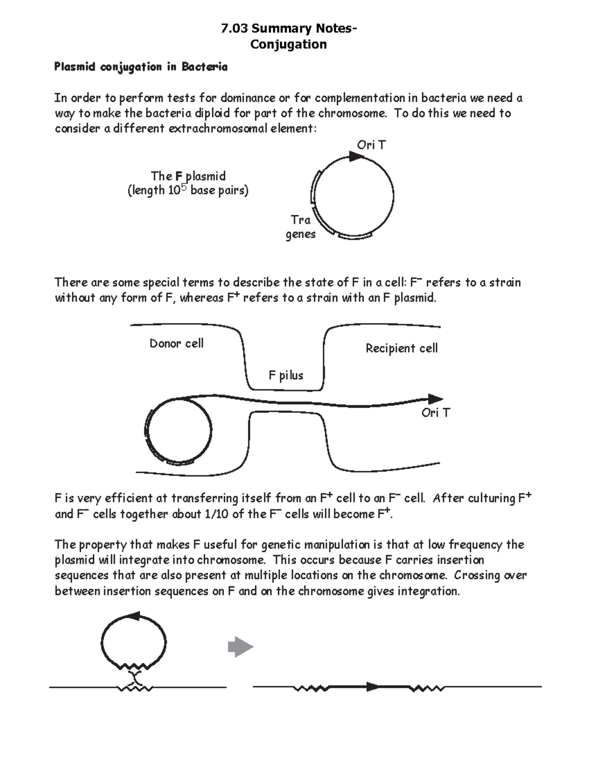 7.03 Summary Notes- Conjugation - Plasmid conjugation in Bacteria In ...