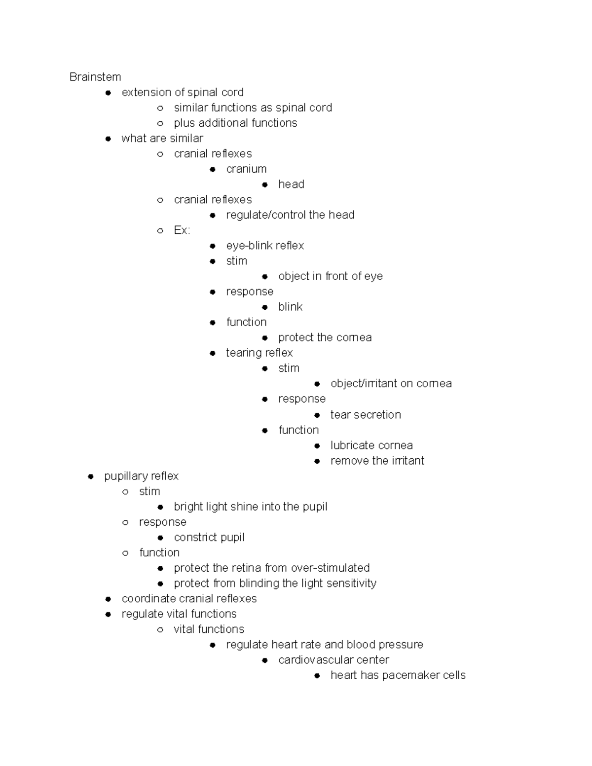 Brain Stem - Biology notes for bio majors - Brainstem extension of ...