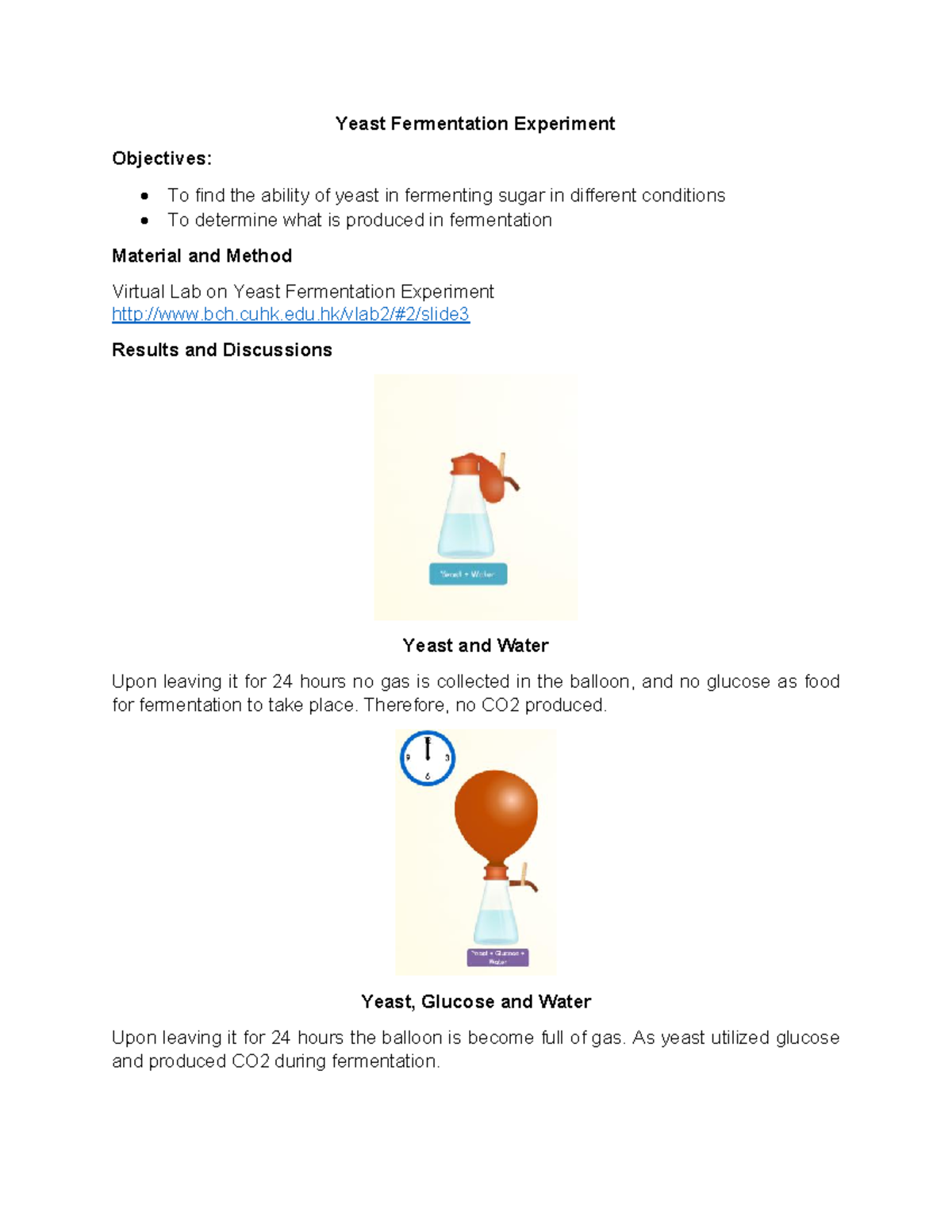 Report on Yeast Fermentation - Yeast Fermentation Experiment Objectives ...